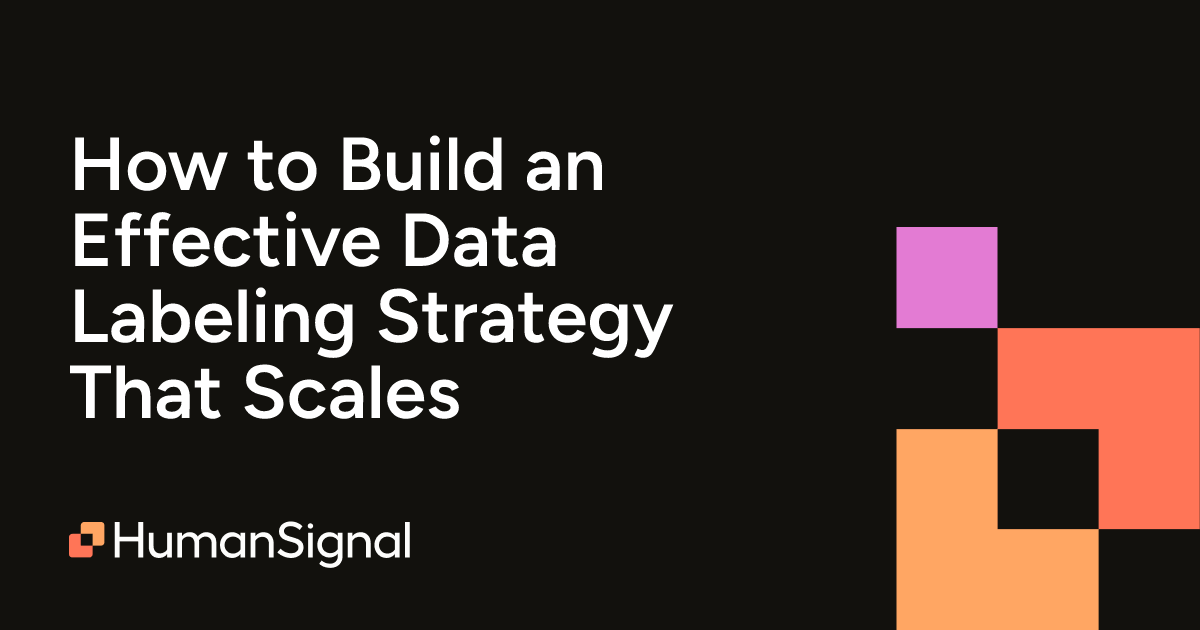 How to Build an Effective Data Labeling Strategy That Scales | HumanSignal