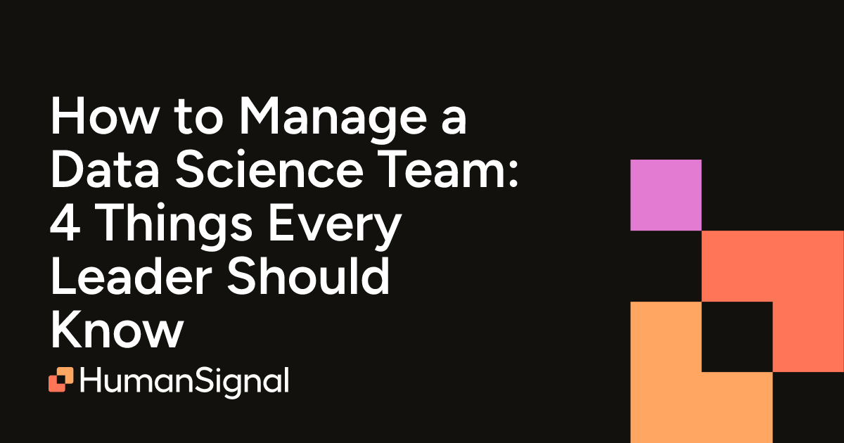How to Manage a Data Science Team: 4 Things Every Leader Should Know ...