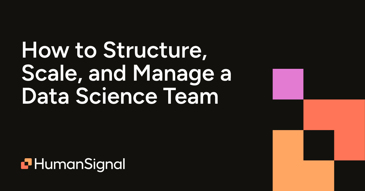 How to Structure, Scale, and Manage a Data Science Team | HumanSignal
