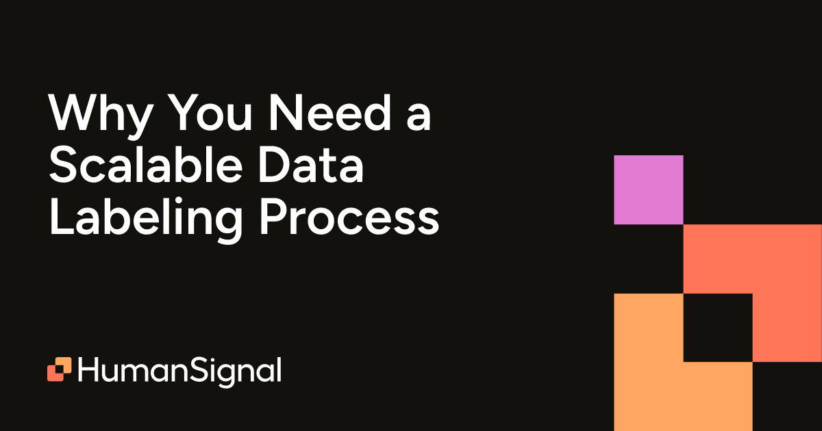Why You Need a Scalable Data Labeling Process | HumanSignal